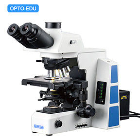 Quality Compound Optical Microscope & Stereo Optical Microscope factory ...