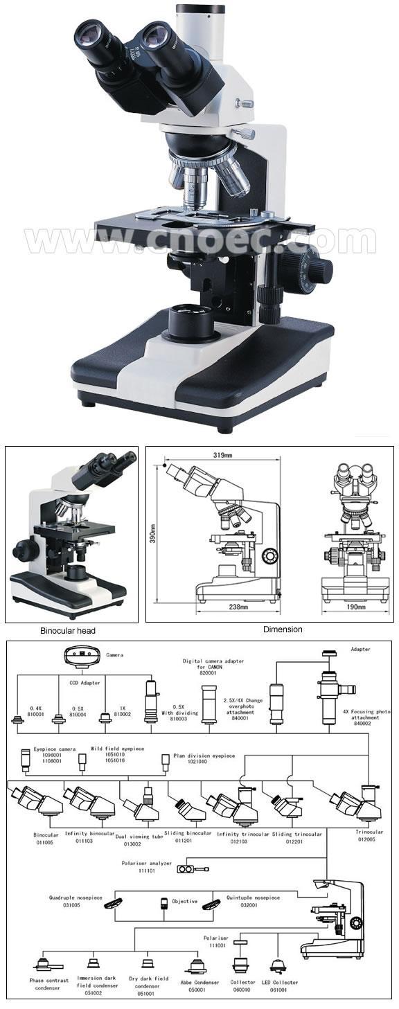 Educational Biological Microscope