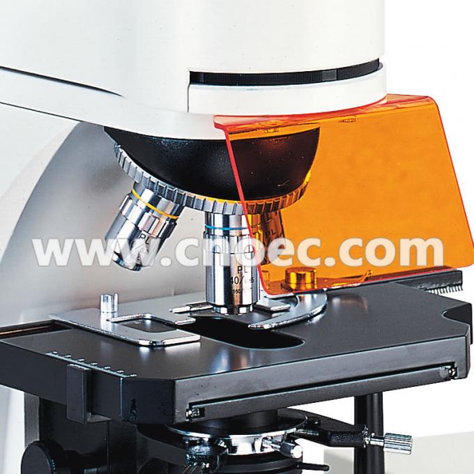 Wide Field Fluorescence Microscope