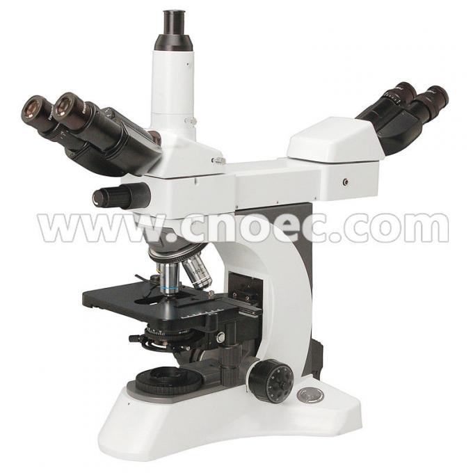 2 Position , Infinity Plan Multi Viewing Microscope With Kohler ...