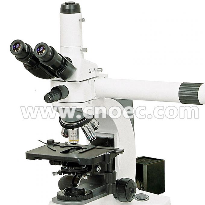 Multi Viewing Microscope A17.1026-B