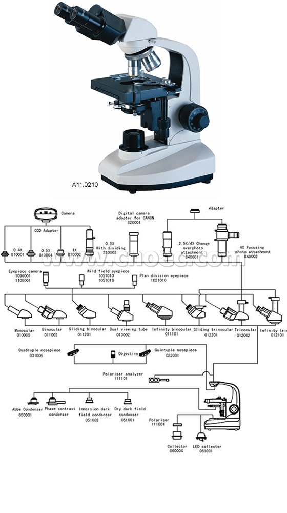 Infinity Biological Microscope Compensation Binocular Head Microscopes ...