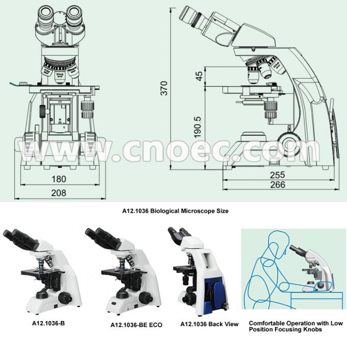 A12.1036 Double Layers Mechanical Stage Biological Compound Microscope ...