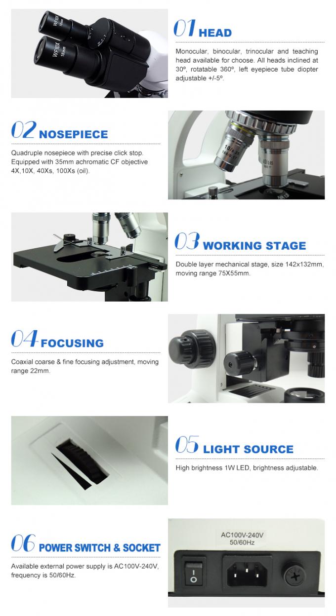 Student Optical Compound Microscope A11.1535 With LED Light Source ...