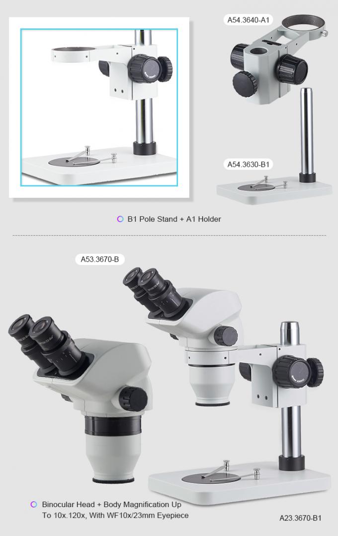 Eyepiece Stereo Optical Microscope Binocular Turret Objective Long ...