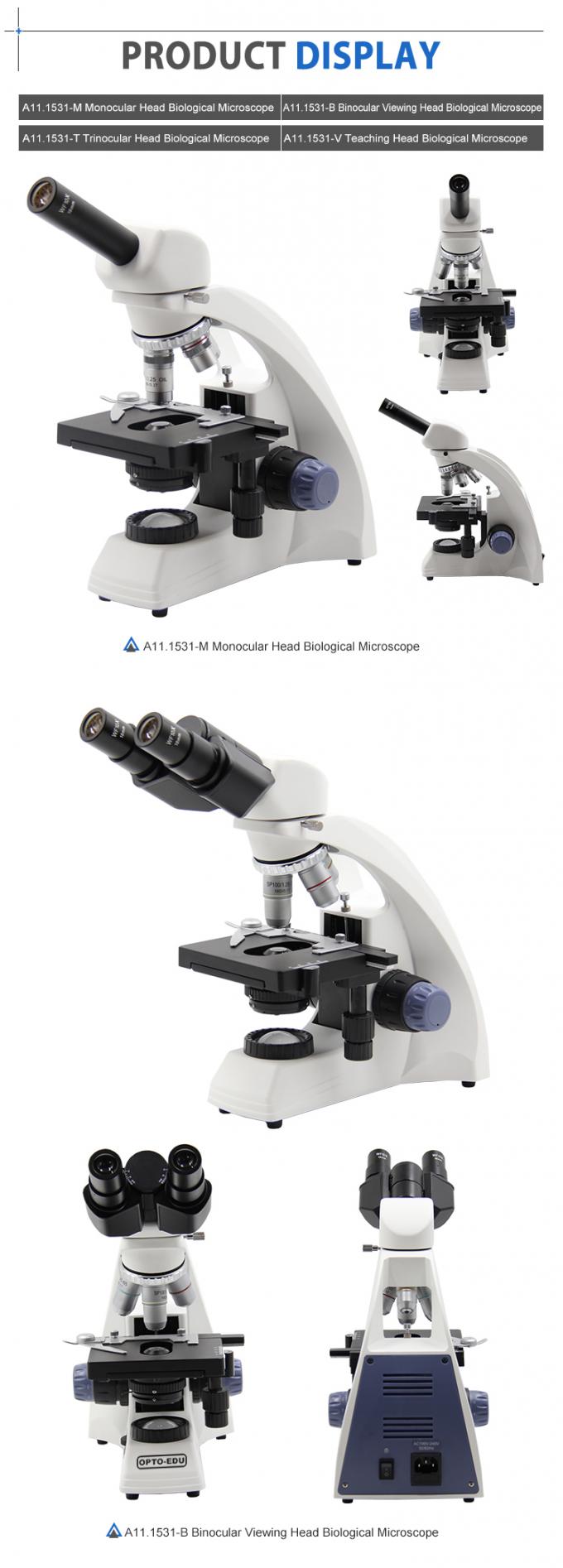 1000X Student Biological Microscope