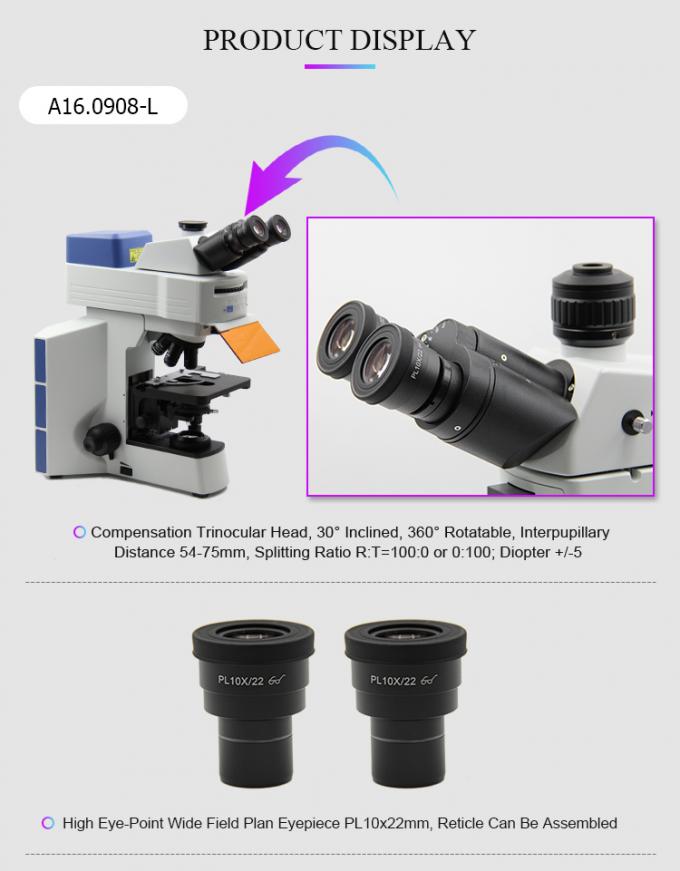 APO Objective Infinity Trinocular Fluorescence Microscope with Disc LED ...