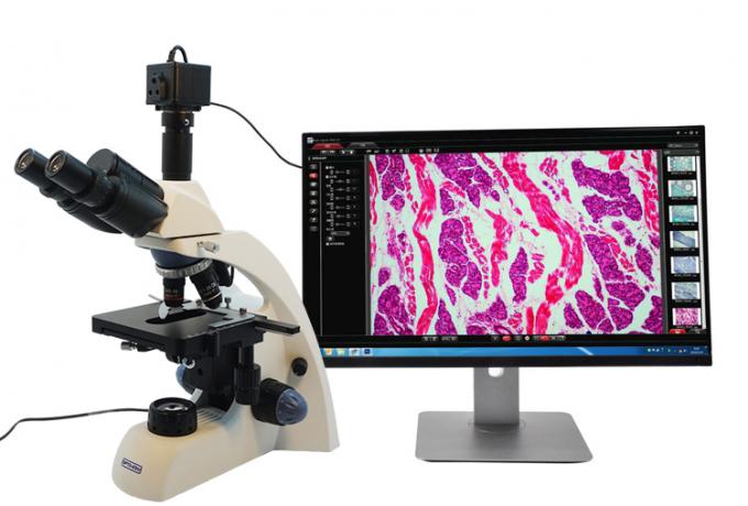 Digital Microscope Eyepiece Ccd Camera 720HD 5MP Measurement With ...