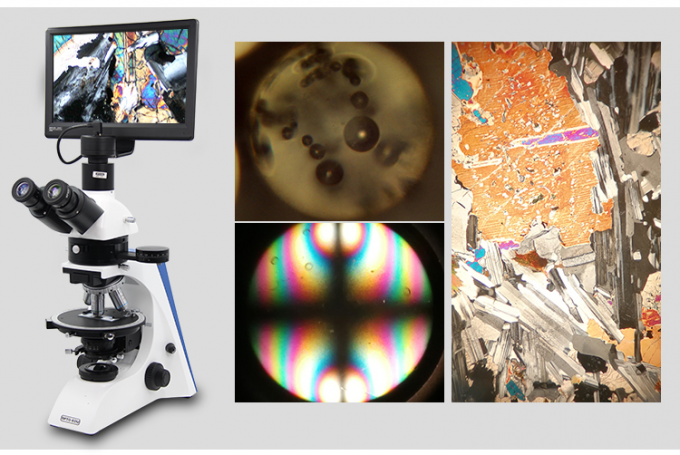 Polarizing Microscope