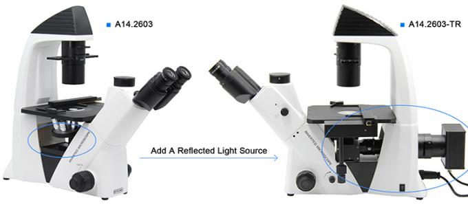 Mechanical Stage Inverted Light Microscope / Digital Inverted Microscope