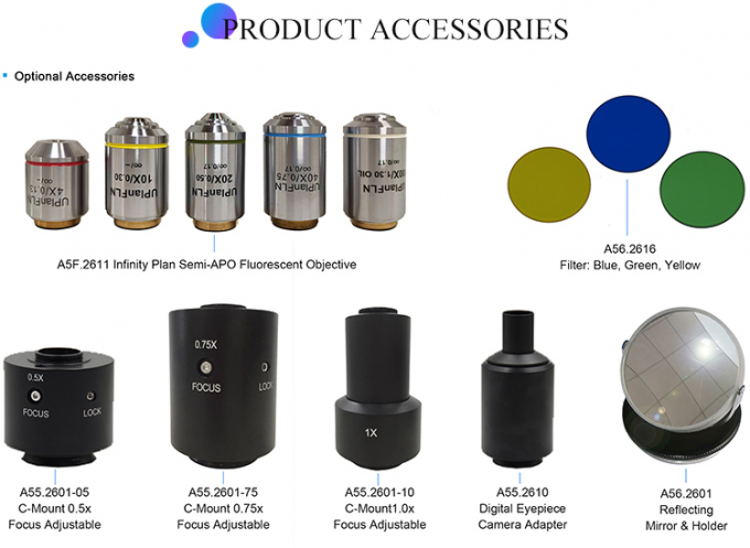 3W LED Coaxial Coarse Fine Focusing Fluorescence Microscope CE / Rohs ...