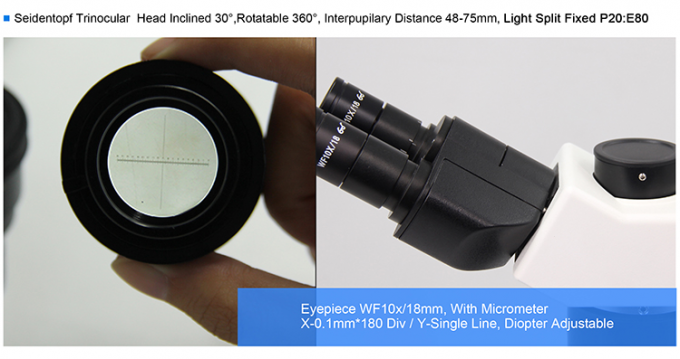 40 - 400x Center Adjustable Compound Light Microscope 110V - 240V With ...