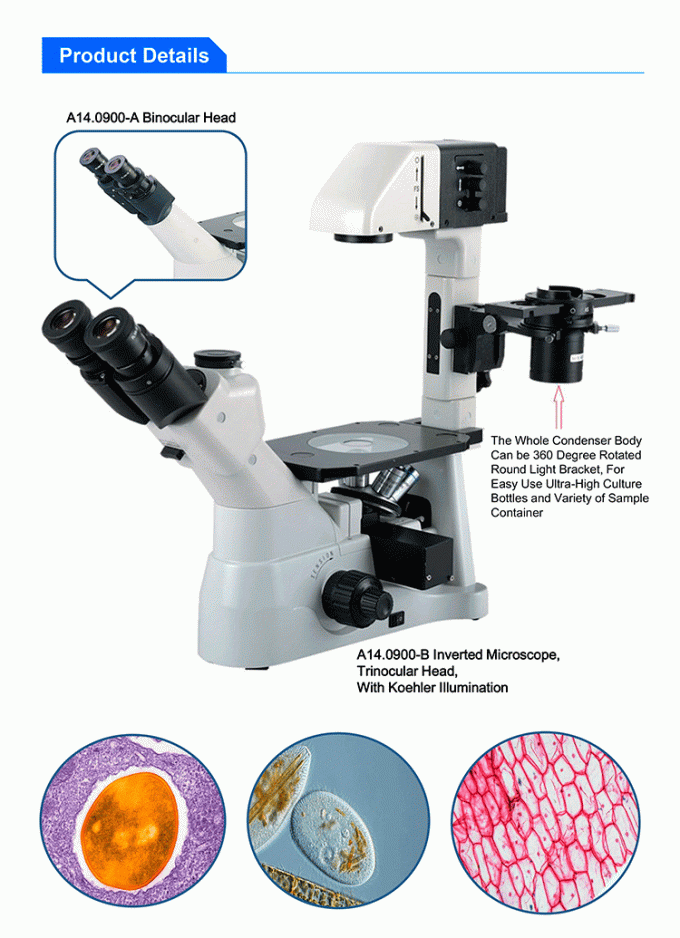 OPTO-EDU Kohler Illumination Inverted Light Microscope OPTO-EDU A14.0900
