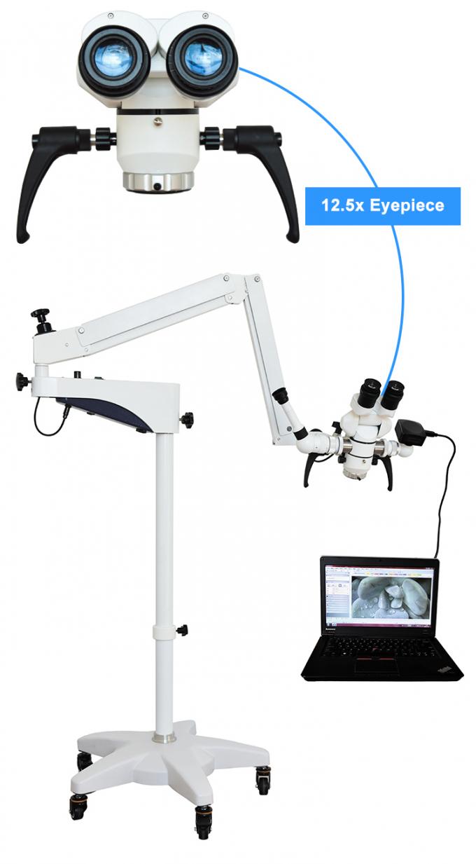 12.5X Medical 30mm Dental Lab Microscope Surgical Operating