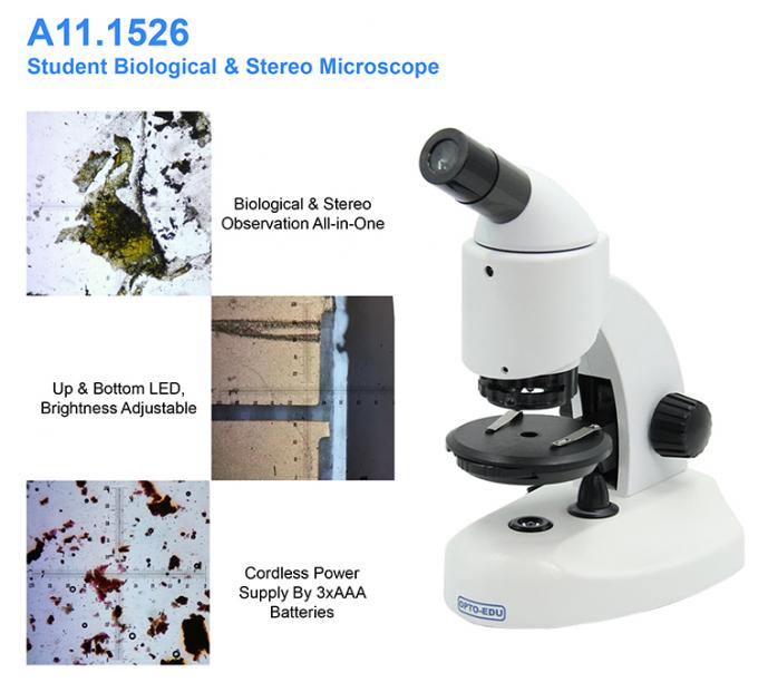 Stereo OPTO EDU 20x-100x Binocular Biological Microscope