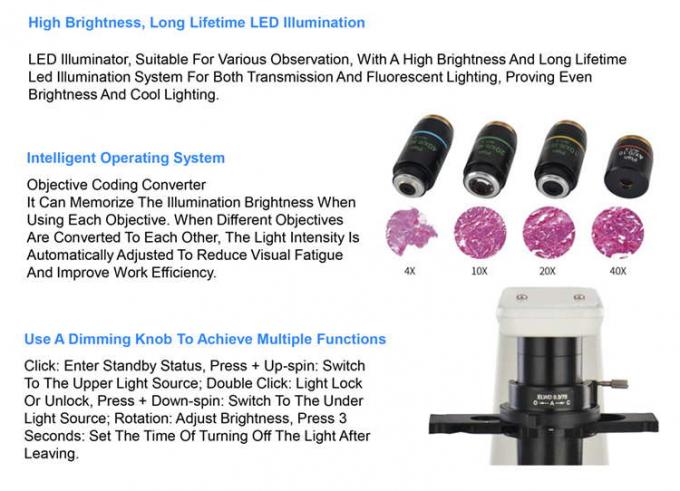 OPTO EDU A14.1063 Inverted Optical Microscope , Phase Contrast ...