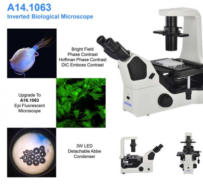 OPTO EDU A14.1063 Inverted Optical Microscope , Phase Contrast ...