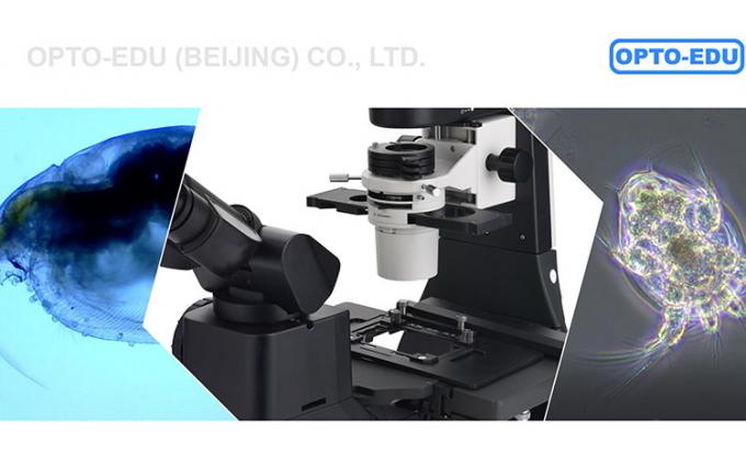OPTO EDU A14.1065 Tilting Inverted Phase Contrast Microscope