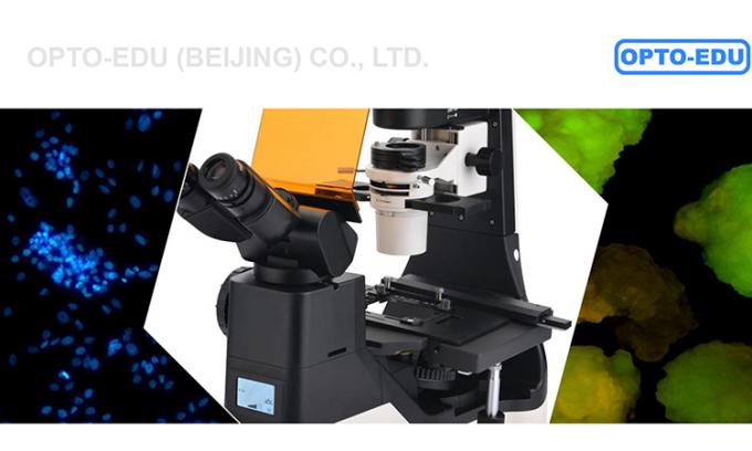 OPTO EDU A16.1065 LCD Screen Inverted LED Fluorescent Microscope ...