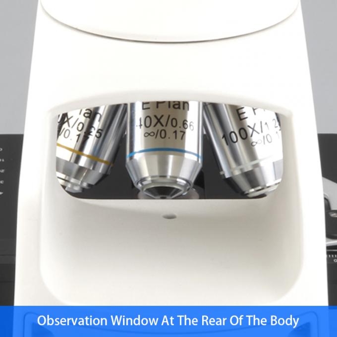 Student 1000X Compound Optical Microscope Laboratory Capillary Microscope