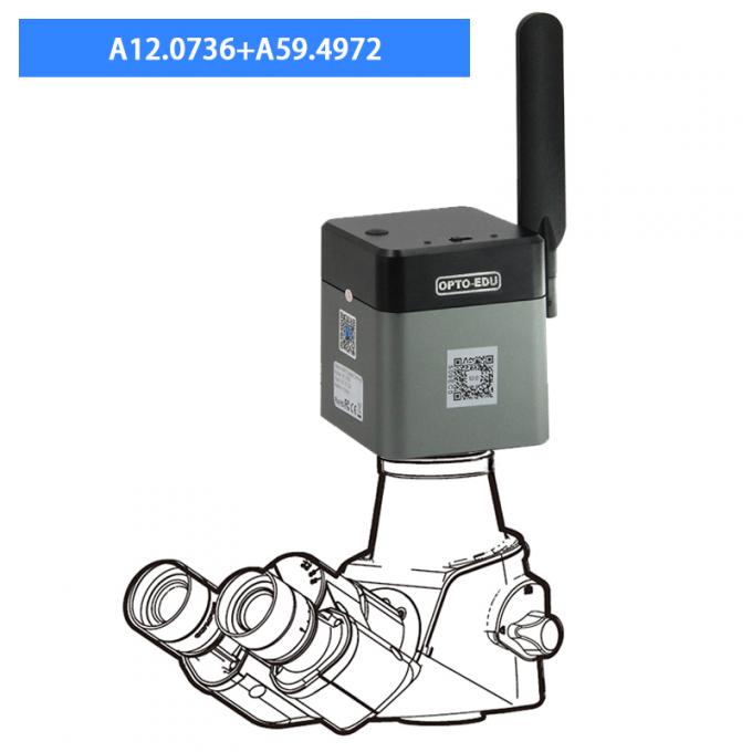 Quadruple Nosepiece A12.0736 Olympus Biological Microscope UIS2 ...