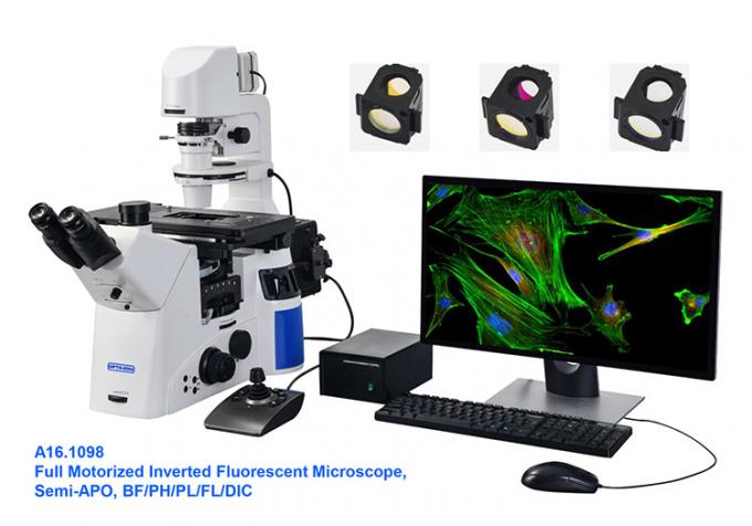 Full Motorized Opto Edu Microscope Semi APO BF / PH / PL / FL / DIC
