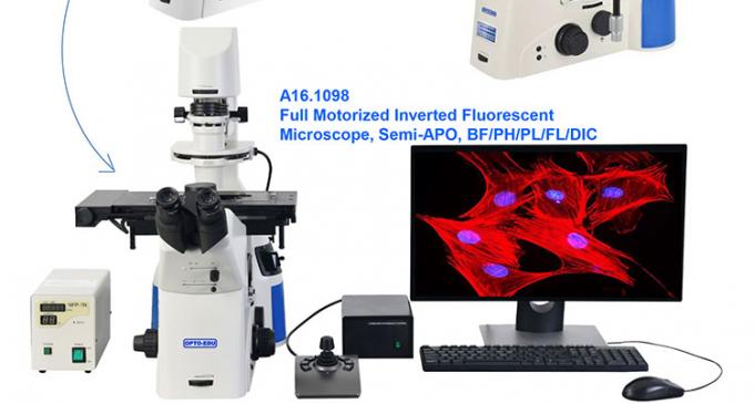 Full Motorized Opto Edu Microscope Semi APO BF / PH / PL / FL / DIC