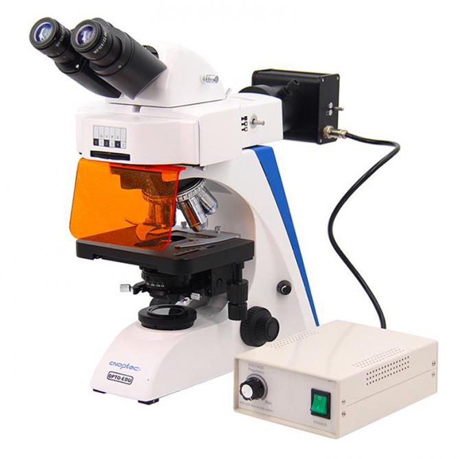 Trinocular Fluorescence Light Microscope With Mercury Bulb A16.2603-L