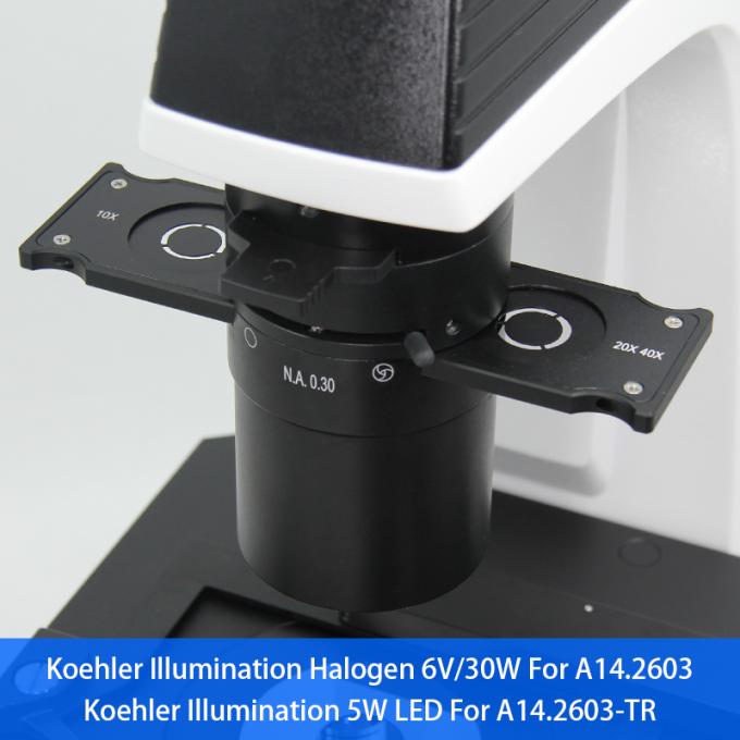Binocular Wide Field Fluorescence Microscopy A16.2614 40X - 1600X ...