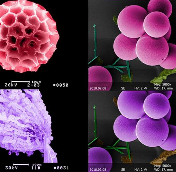 High Resolution Digital Scanning Optical Microscope Huge Sample Stage