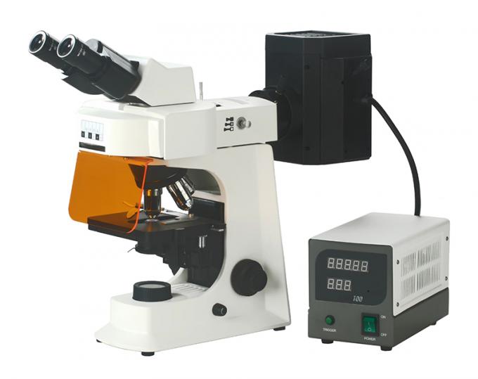 OPTO-EDU A16.2601-B2 Fluorescent Microscope, Binocular, B/G