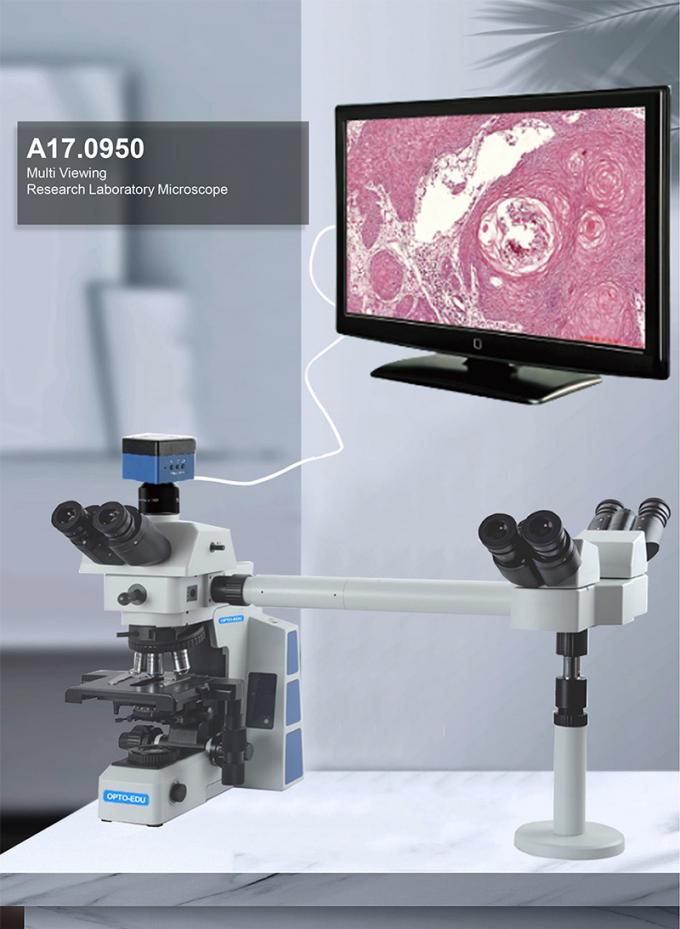Inclined 22mm Multi Viewing Microscope Opto-Edu A17.0950-3