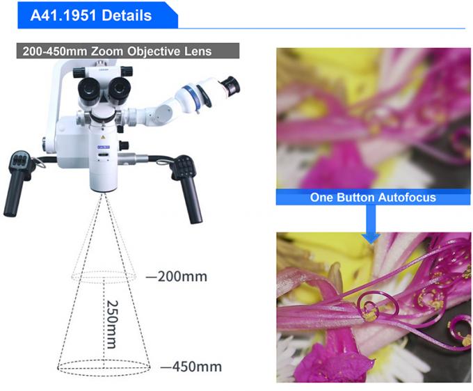 Dual Head Neurosurgery Brain Surgery ENT Operating Microscope