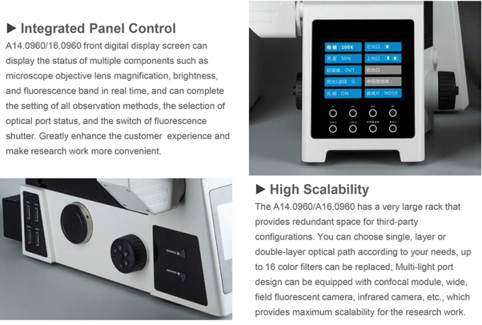 Opto Edu A16.0960 Research Level Inverted Fluorescent Microscope ...