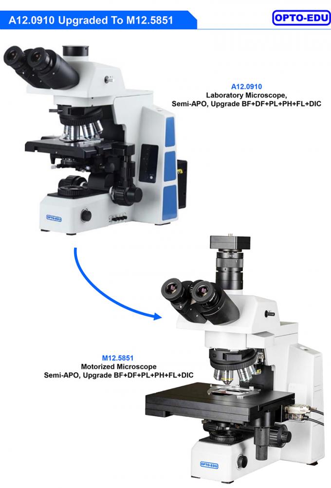 Opto Edu M12.5851 BF XYZ Stage Motorized Laboratory Biological Microscope