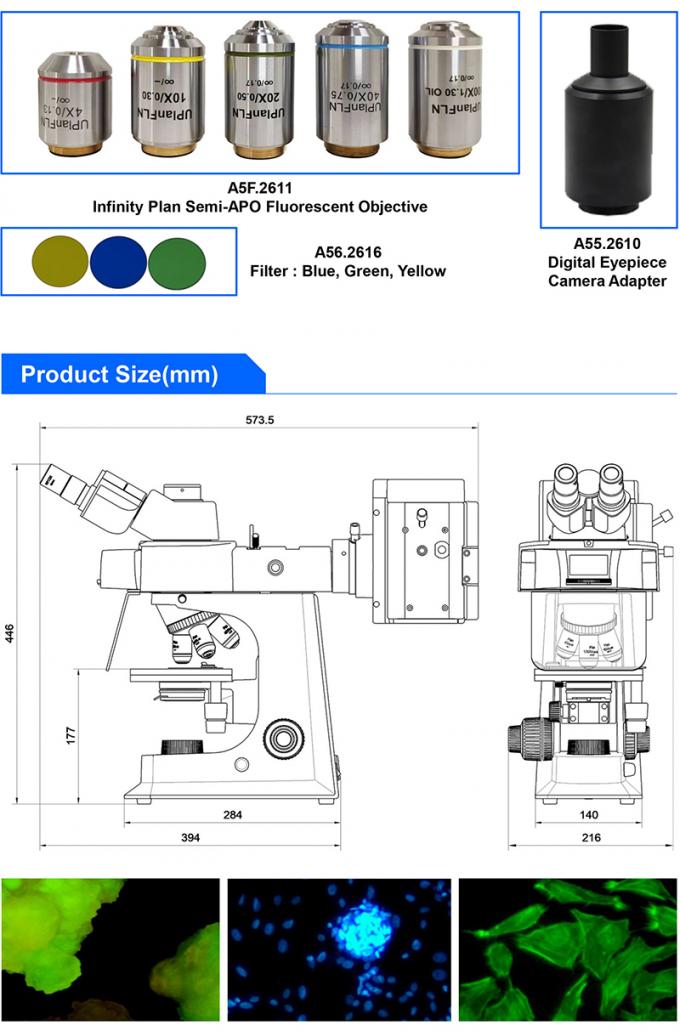 OPTO-EDU A16.2601-UL Fluorescence Microscopy 3W LED Illumination ...