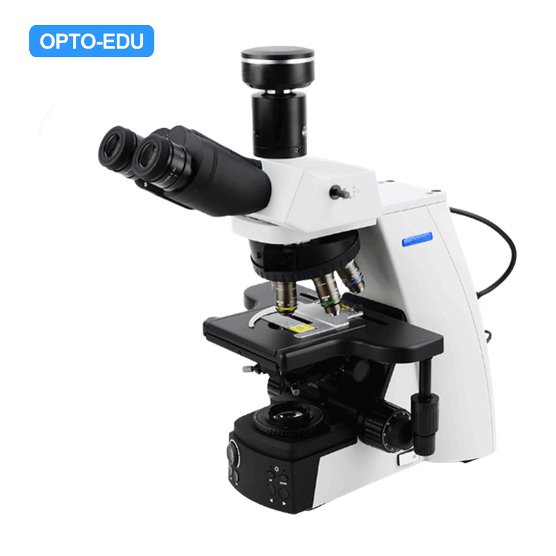 OPTO-EDU A12.2220 Infinity Trinocular Biological Laboratory Microscope