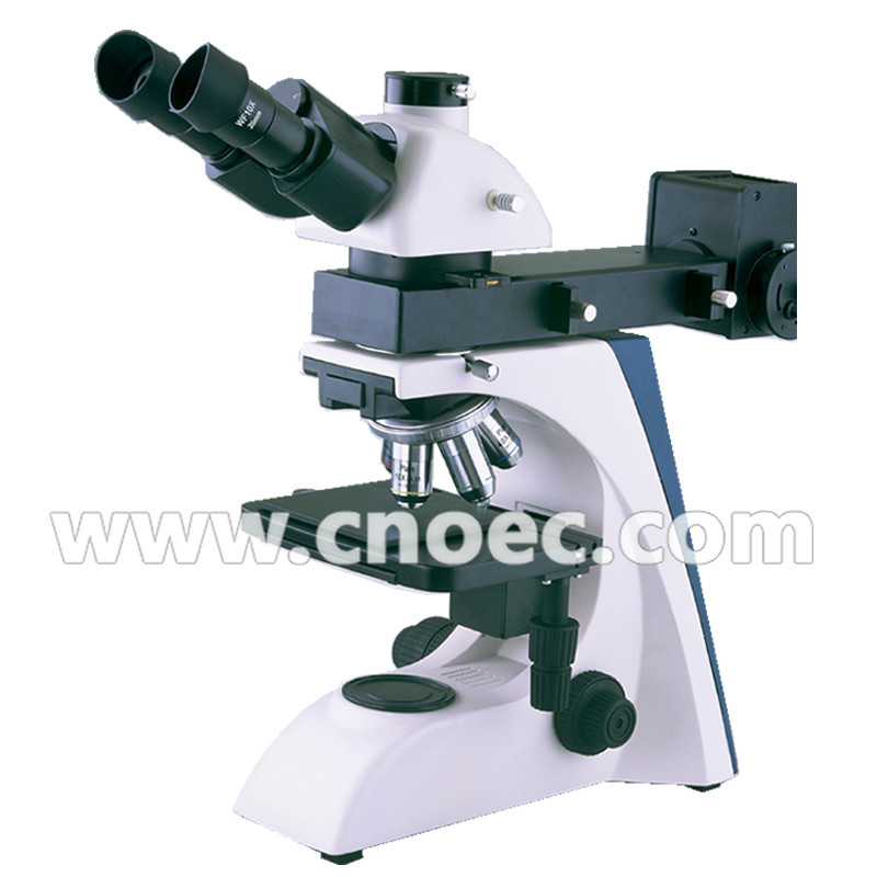 Learning Infinity Plan Microscope Trinocular Compound Microscopes Rohs ...