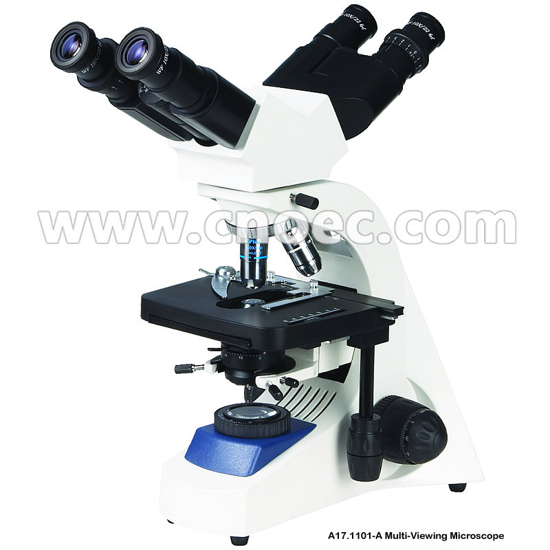 40x - 1000X Teaching Multi Viewing Microscope 2 Position With Coaxial ...