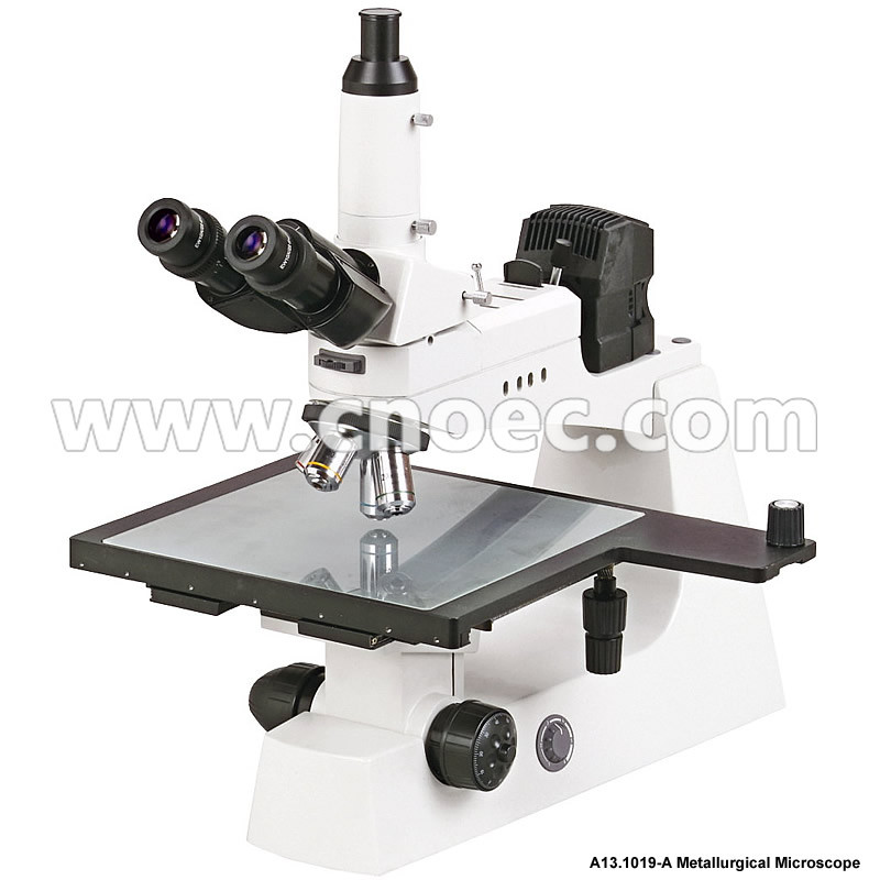 Trinocular Metallurgical Optical Microscope Halogen Lamp A13.1019