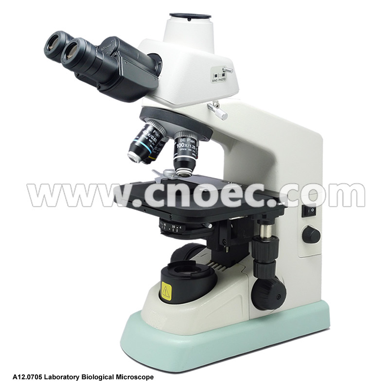 E100 Learning Wide Field Microscope Halogen Illumination Microscopes ...