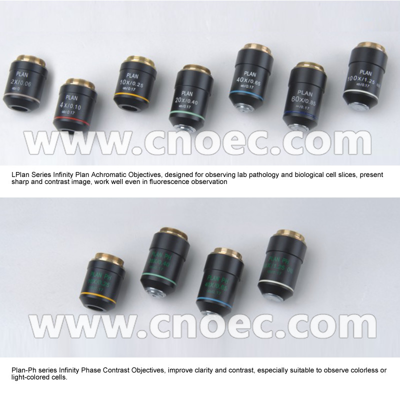 Infinity Binocular Compound Microscope With Infinity Plan Objective A12 ...