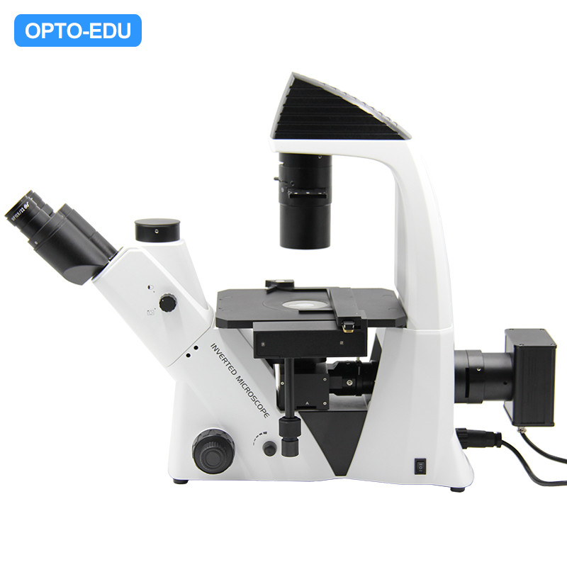 Optical Trinocular Lab Biological Inverted Optical Microscope A14.2603 ...