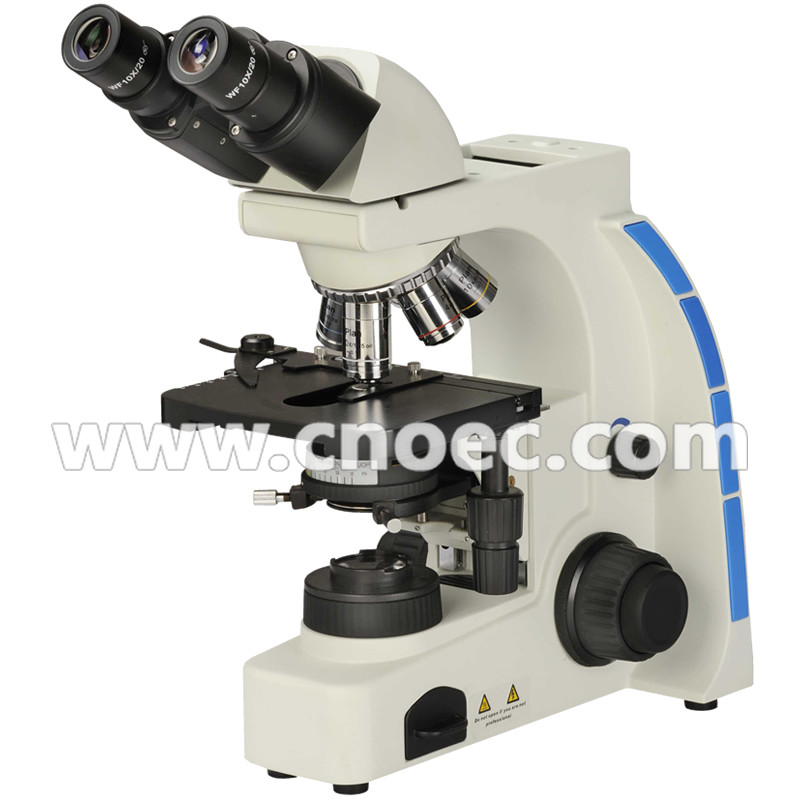 40X 100X Learning Compound Optical Microscope Halogen Illumination ...