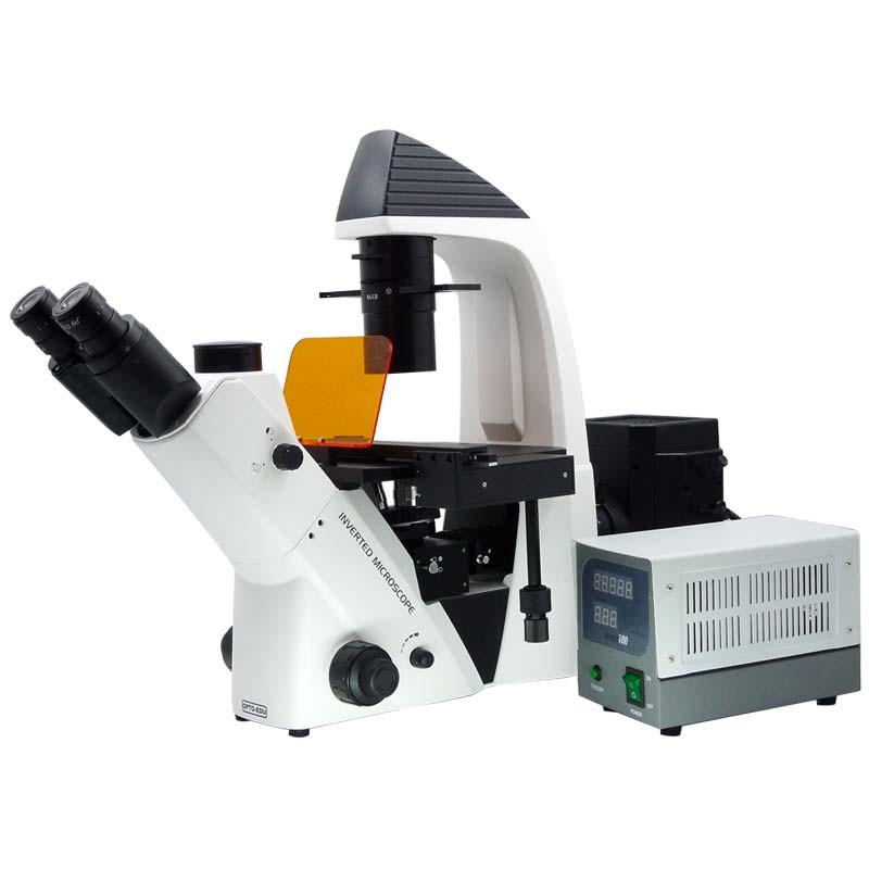 Binocular Wide Field Fluorescence Microscopy A16.2614 40X - 1600X ...