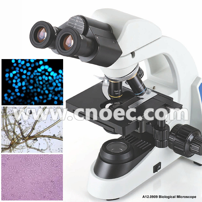 Compensation Binocular Optical Microscope LED Illumination Microscopes ...