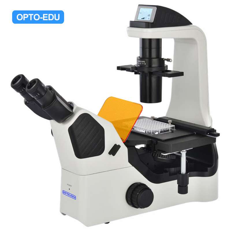 OPTO EDU A16.1064 Inverted Fluorescent Microscope B G U Long Working ...