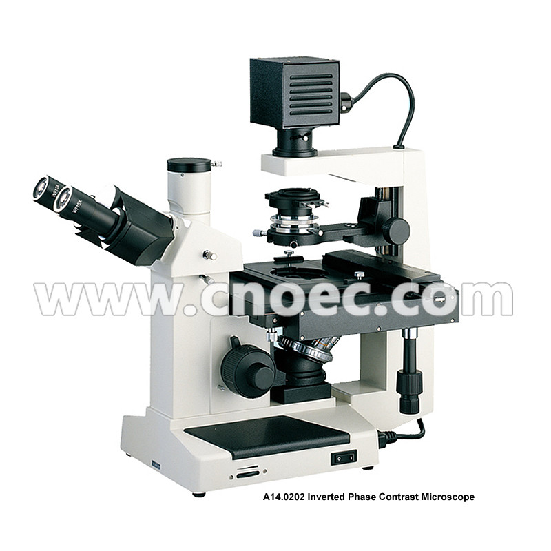 400X Plan Phase Contrast Inverted Optical Microscope Halogen Lamp Rohs ...